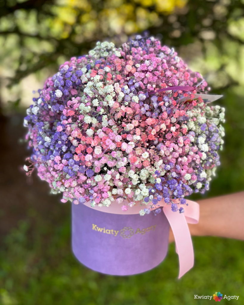 Flowerbox z Kolorowej Gipsówki | Kwiaty Agaty